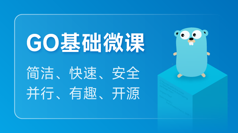 Go 语言入门课程编程实战微课w3cschool